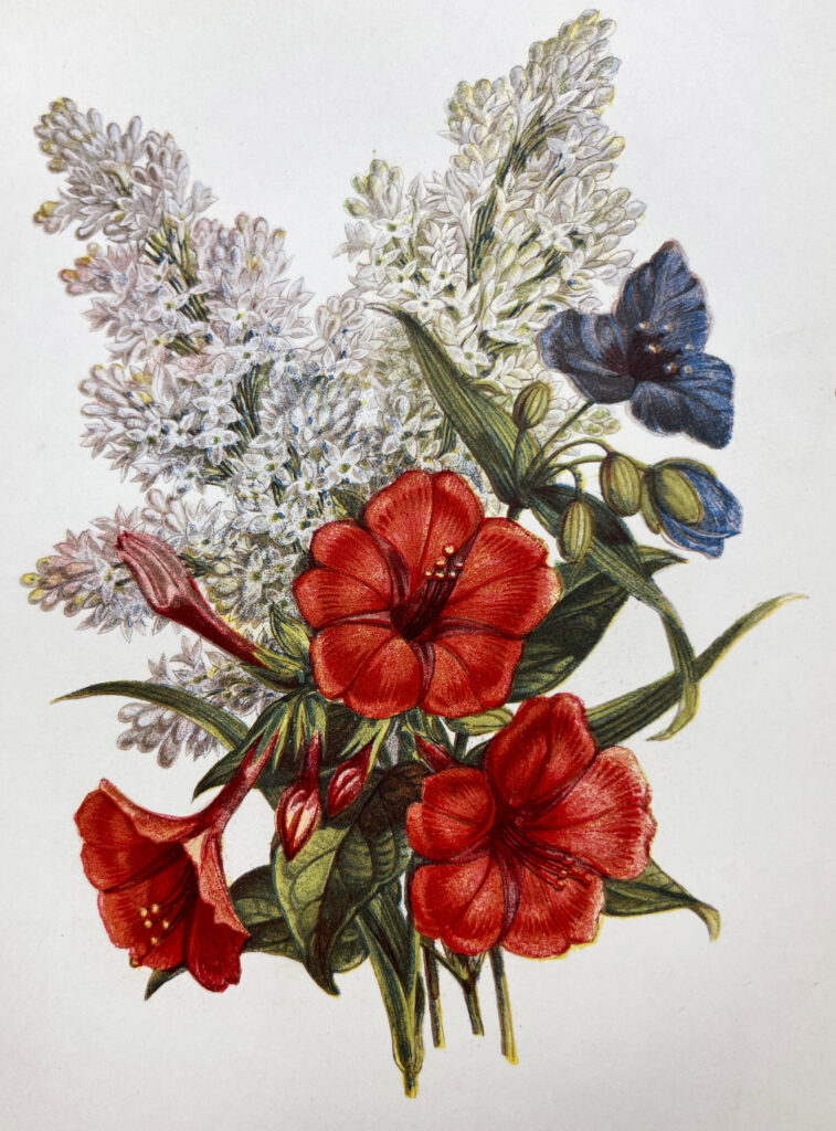 How to Speak the Language of the Flowers: Floral Dictionaries in the ...