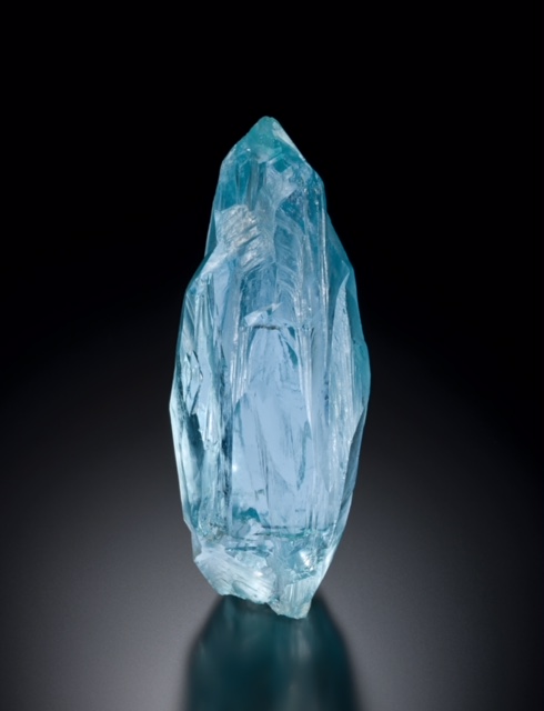 The Irénée du Pont Collection – Special Collections & Museums