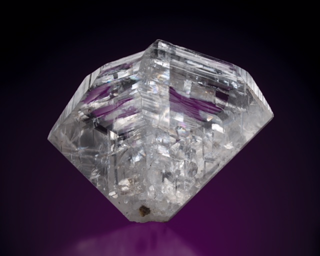 The Irénée du Pont Collection – Special Collections & Museums