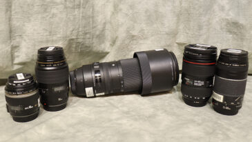 UD Library, Museums and Press